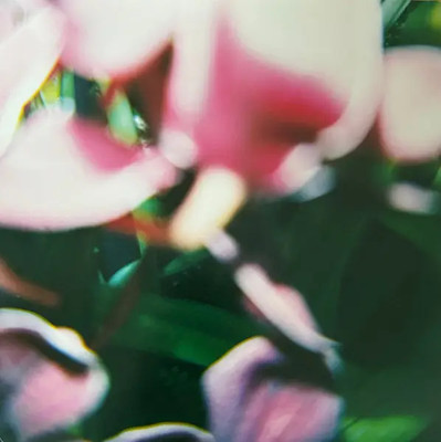 Trade Wind You Make Everything Disappear NEON PINK, LTD ED NEAR MINT ...