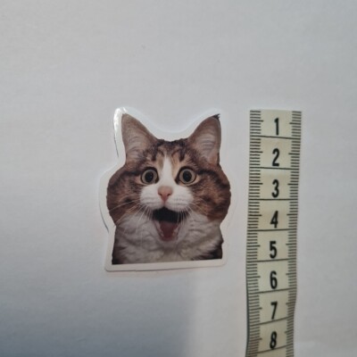 Cat Meme Funny Cute Derp Silly Glanz Sticker Aufkleber Sammeln Geschenk ...