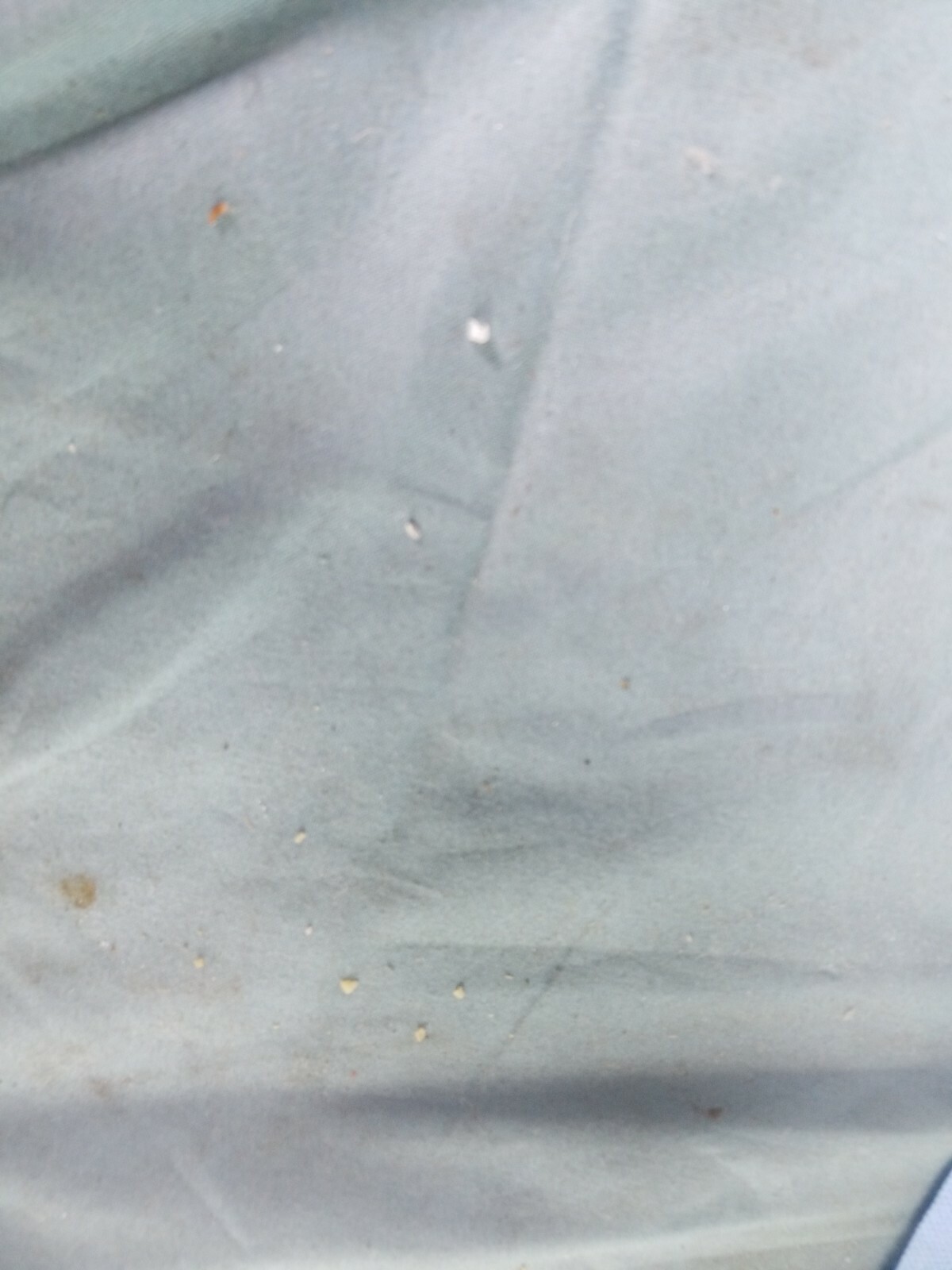 Maxon brushless DC Motor Ø35 EC-Max 137562 CNC,Robot | eBay