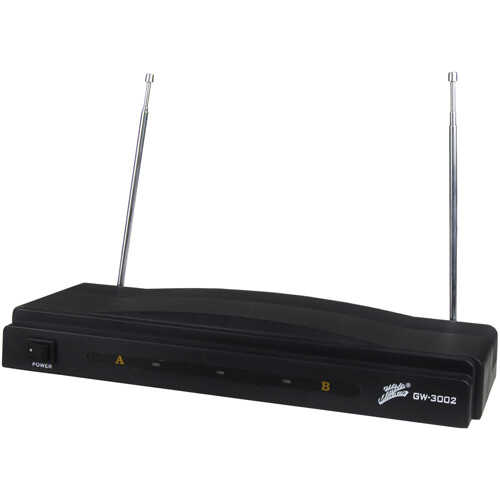 Zebra GW3002 Professional Wireless Dual Microphone System | eBay