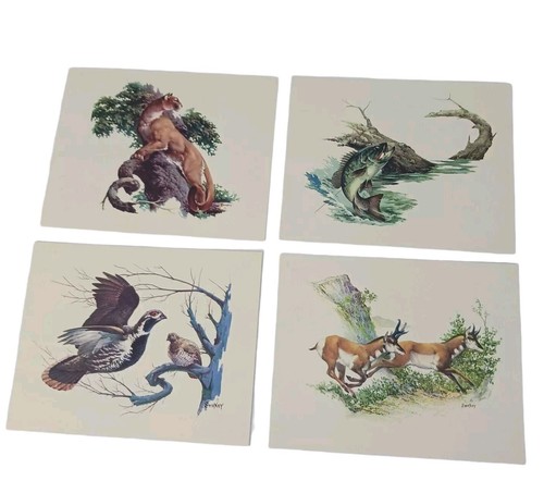 Vtg FREDERICK SWENEY Wildlife 8x10 Prints Embossed Grouse Pronghorn ...