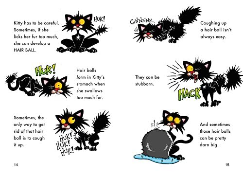 Bad Kitty Gets a Bath (full-color edition) 9781250765338 | eBay