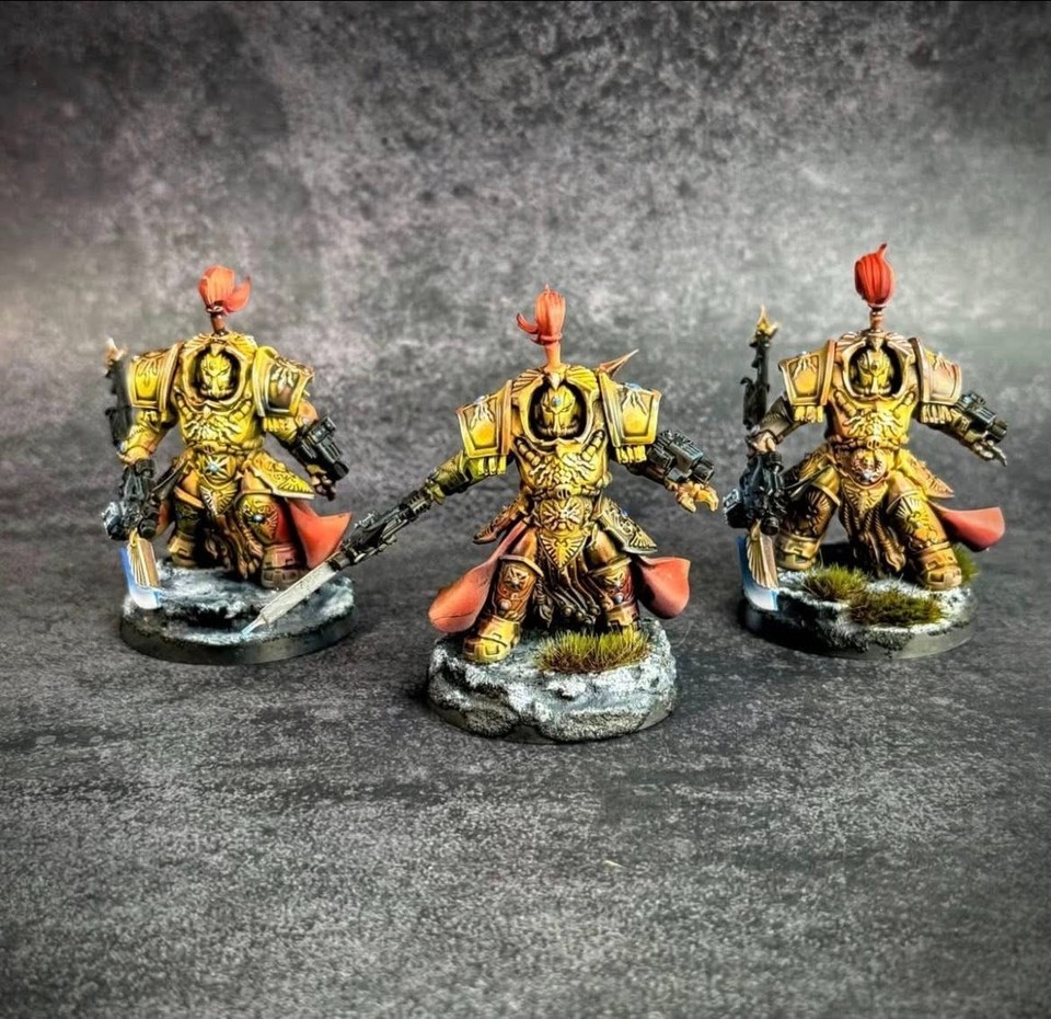 2000 Point Adeptus Custodes Army Pro Painted Warhammer 40k Made-To ...