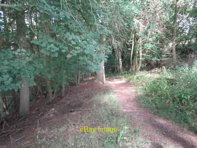 Photo 6x4 Footpath enters wood from Waste Common Lower Sapey c2018 ...