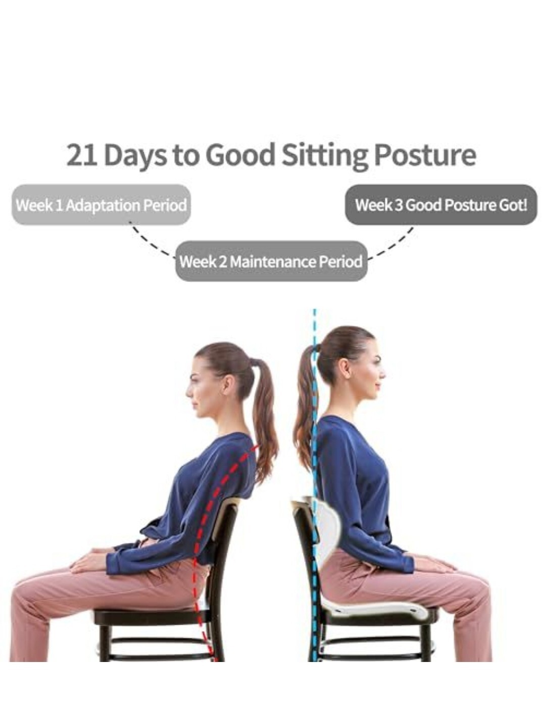 Support Back Pillow Seat Cushion Chair Waist Cushion Sitting Correction Posture | eBay