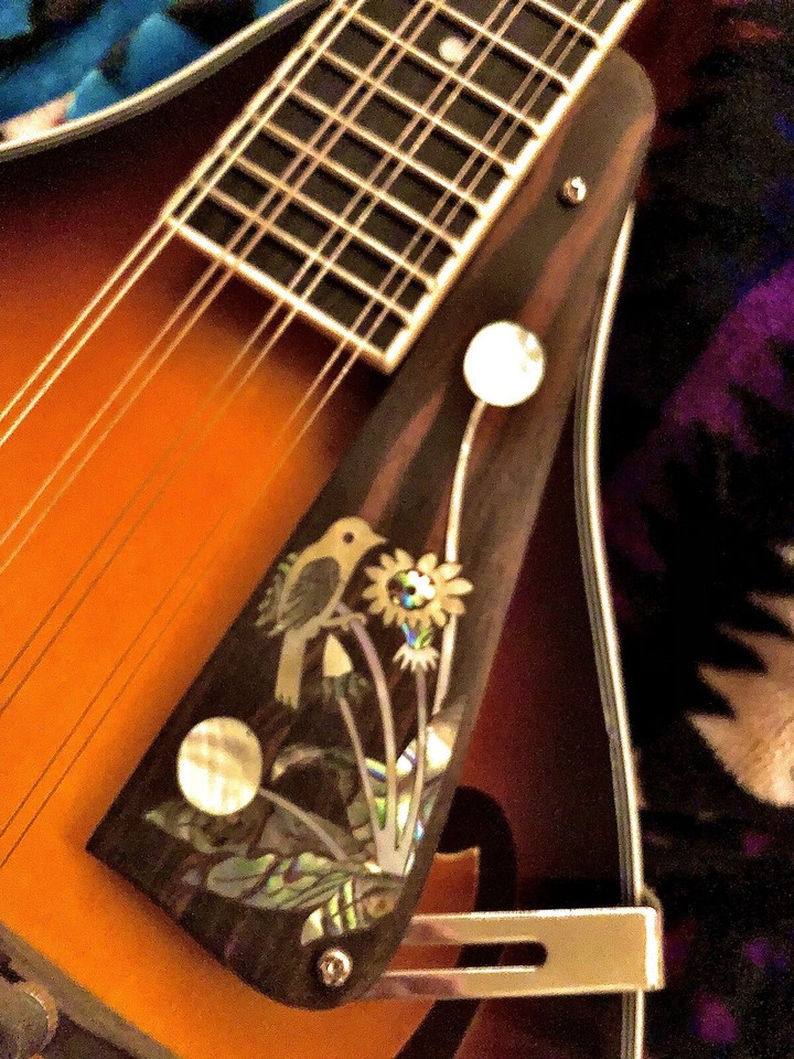 Custom Sunburst Mandolin; Rosewood Pickguard Abalone Inlay, PRO setup ...