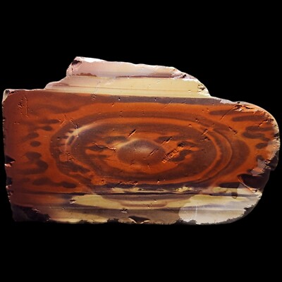 Australian Print Stone Lapidary Rough, Mount Brockman, Western ...