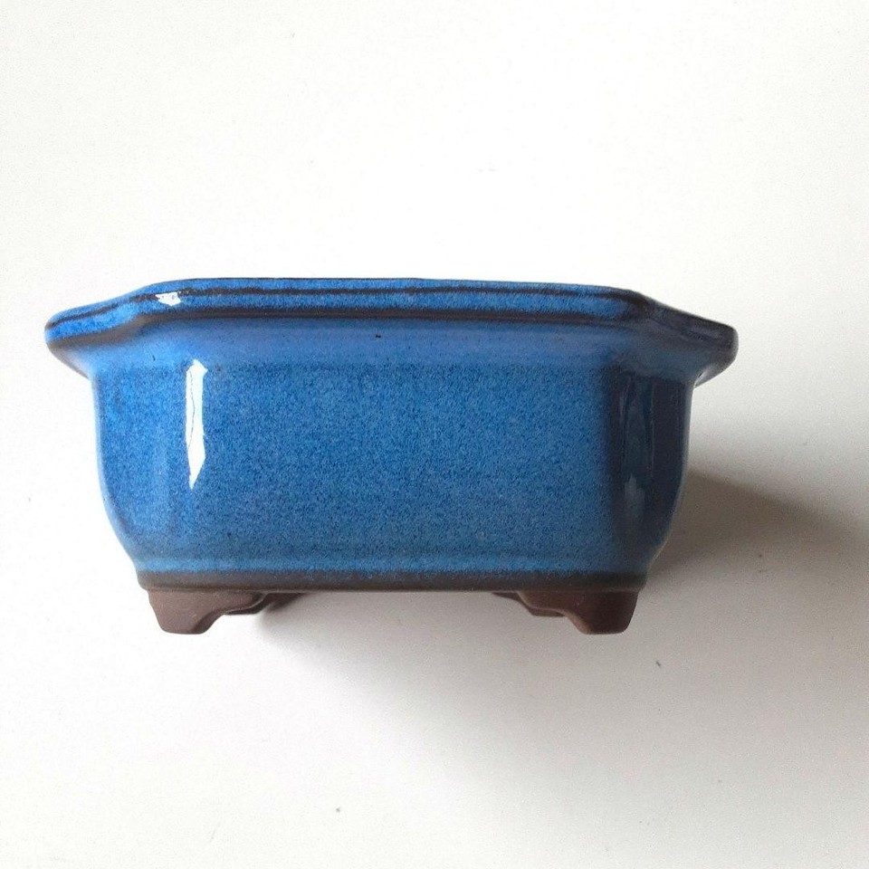Mini Bonsai Topf Blau Achteckige Japanisch Kunst Form Miniatur Baum ...