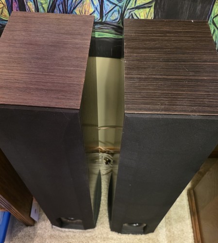 Pair Polk Audio R50 Tower Vintage Loudspeakers With Grills | eBay