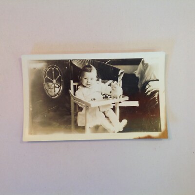 Vintage B&W Photograph Toddler Jack Weiler High Chair Steiff Cat Wood ...