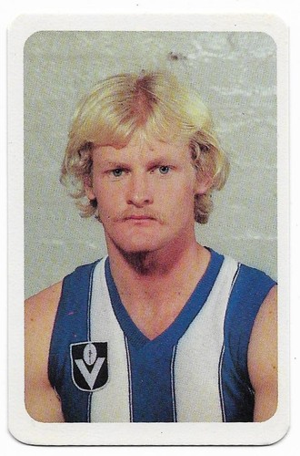 1981 Ardmona Big League Series 1 Glenn PAYNE North Melbourne | eBay