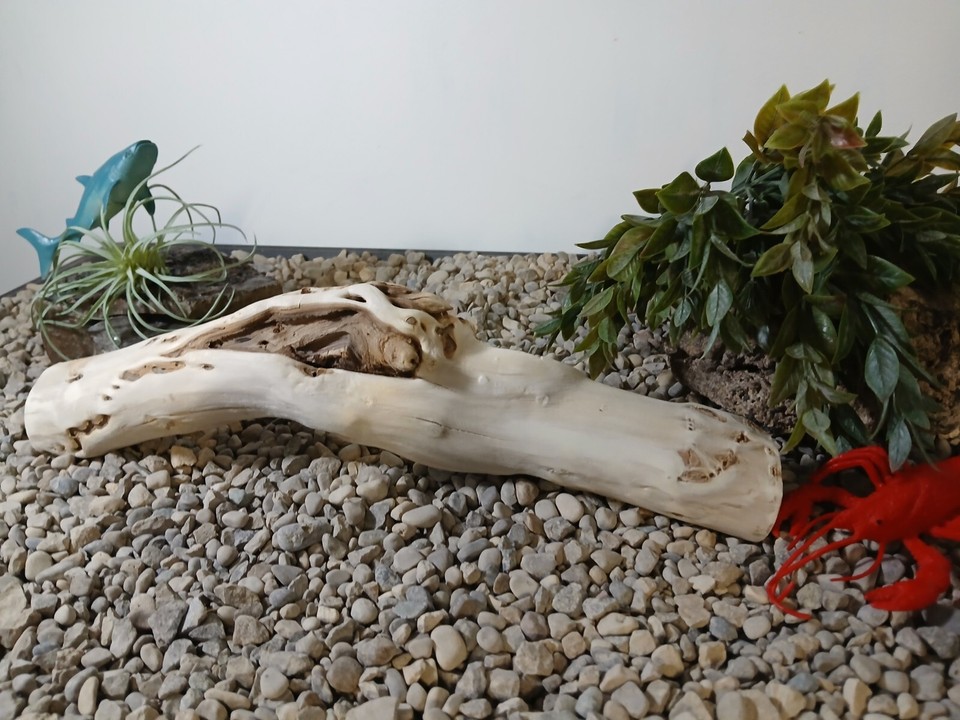 Driftwood aquarium fish & reptiles 4x14" natural basking log decor | eBay