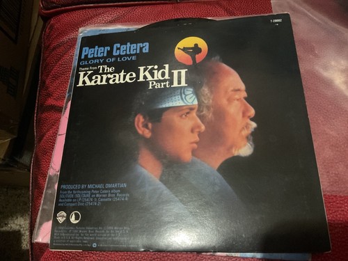 rare picture sleeve oz version 7 inch peter cetera glory of love karate ...
