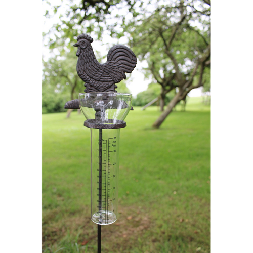 Cast Iron Garden Rain Gauge Rustic Chicken and Glass Bowl Rainfall ...