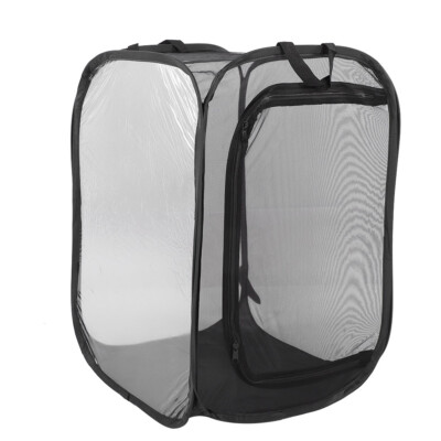 Mantis Stick Small Insect Butterfly Housing Enclosure Net Insect Mesh ...