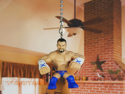 WWE Wrestling Wrestler CM Punk Ceiling Fan Pull Cord Light Lamp ...