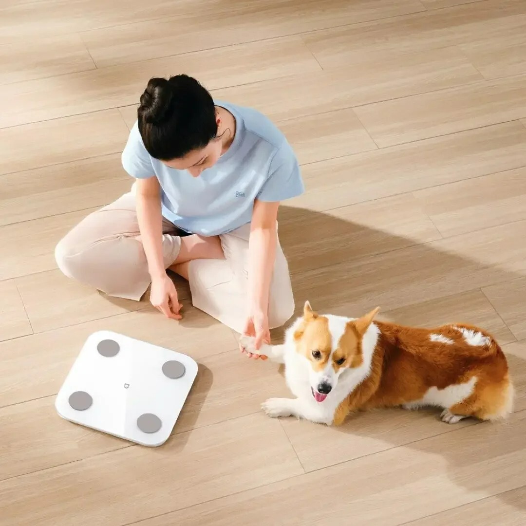 Xmtzc05hm Smart Scales Online Shopping For Gadget & Accessories