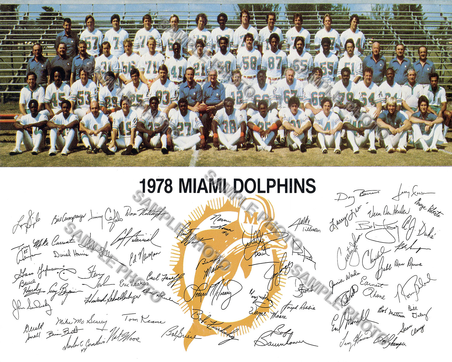 1978 MIAMI DOLPHINS NFL FOOTBALL TEAM 8X10 PHOTO | eBay
