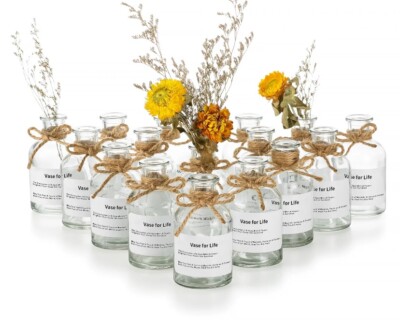 Glass Flowers Bud Vases Clear: 16Pcs 4.2Oz with Twine Rope and Labels ...