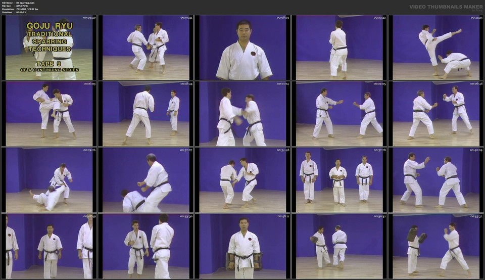 Mastering Okinawan Goju Ryu Karate starring Morio Higaonna (24 DVD Set ...