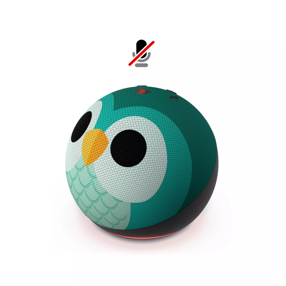 🔥🔥NEW! Amazon - Echo Dot Kids (5th Gen) with Alexa - Owl 🔥🔥 ...