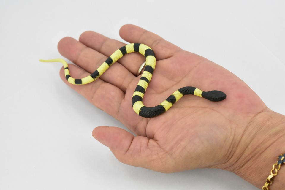 Banded Krait Snake, Rubber Reptile, Realistic Model Toy Hand Painted 6 ...