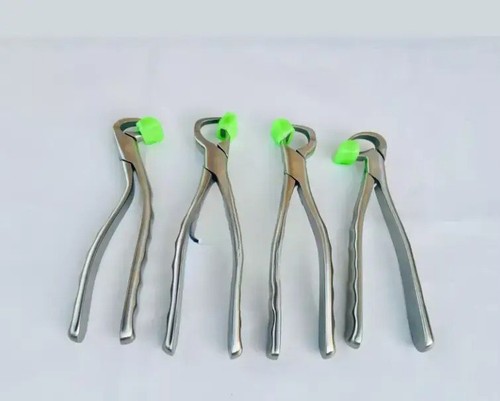 Set of 4 Dental Extraction Physics Forceps - Standard Series with 40 ...