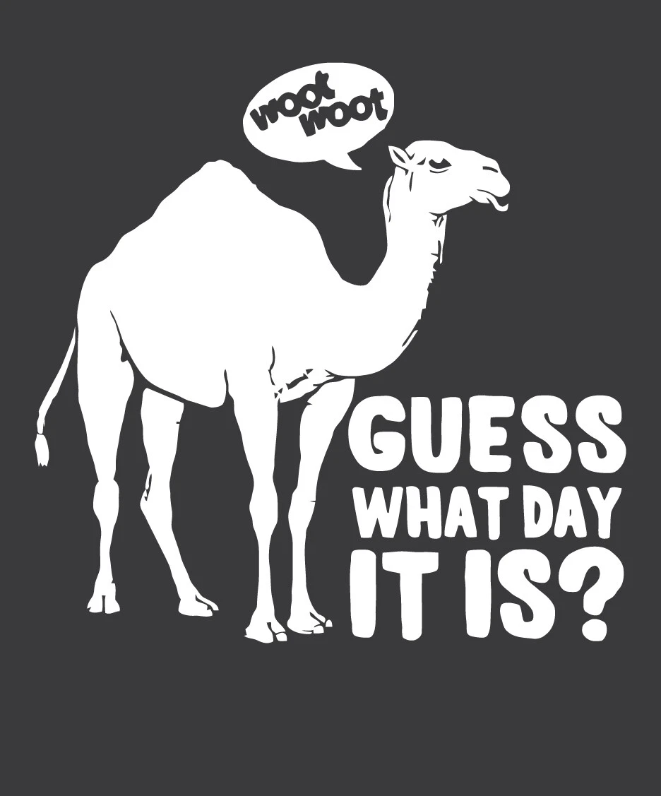 Guess What Day It Is Camel Meme