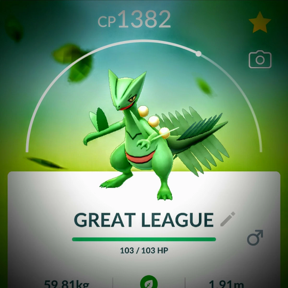 Pokemon Sceptile Evolution