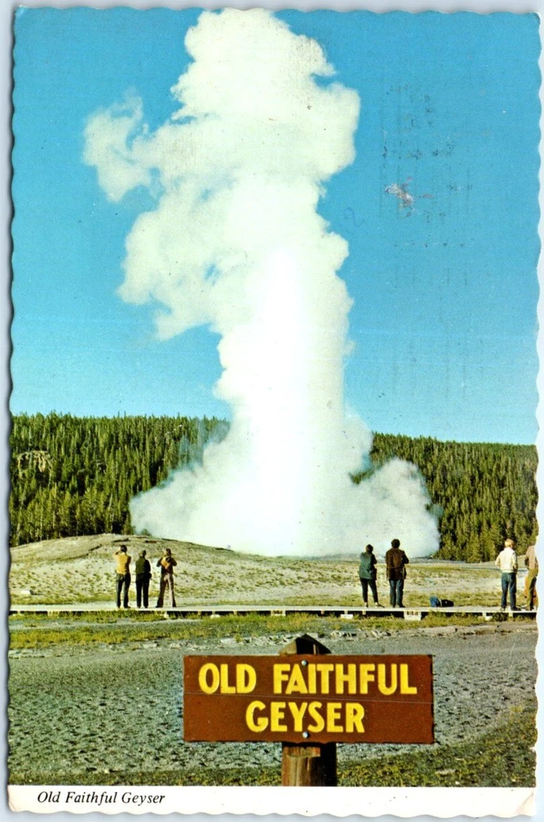 Old Faithful Postcard