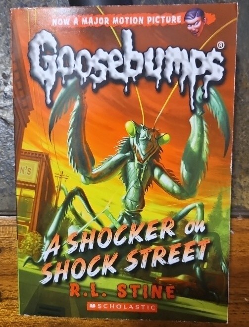 A Shocker on Shock Street (Classic Goosebumps #23) by R.L. Stine ...
