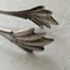 Fraca Panza Tongs Bird Talons Claw Silver Hallmarks Antique Vintage | eBay