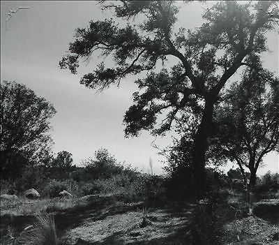 O, Sun by Zoh Amba (CD, 2022) for sale online | eBay