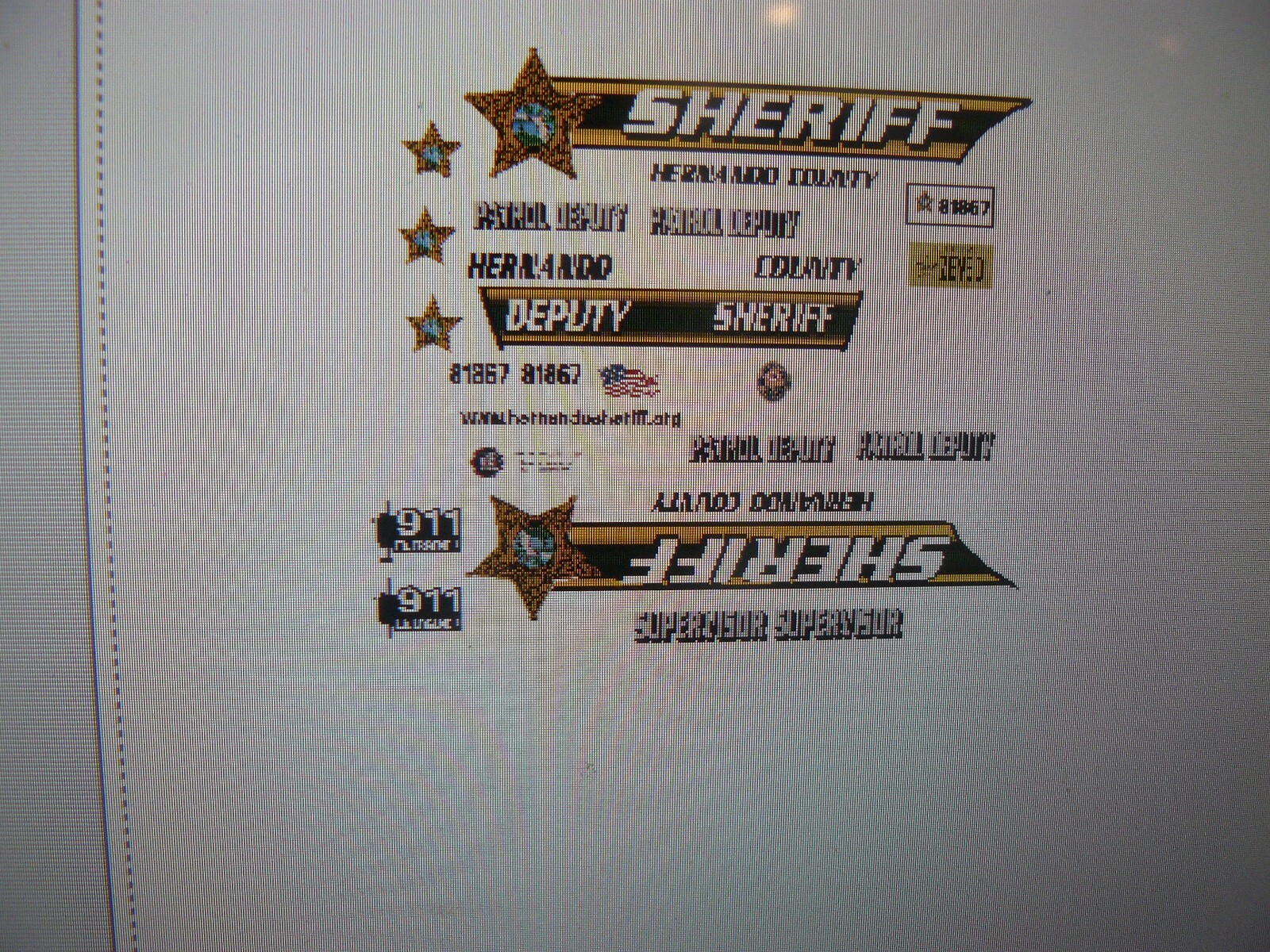 Hernando County Sheriff Florida Patrol Vehicle Decals 1:18 | eBay