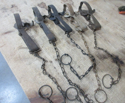 5 Victor #1 Long Spring Traps | eBay
