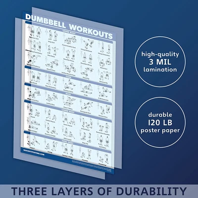 Dumbbell Workout Exercise Poster Home Gym | Grelly USA