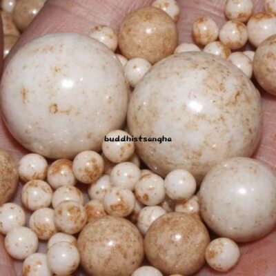 Sakyamuni Buddha Bone Relics Install Tibetan Relics Dedicated Holy ...