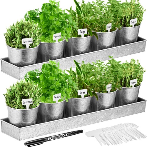 2 Sets Herb Garden Planter Indoor Kit with Trey 10 Pcs Metal Windowsill ...