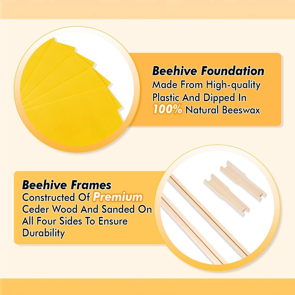 POLLIBEE Deep Brood Bee Hive Frames and Wax Foundations,10 Pack Honey ...