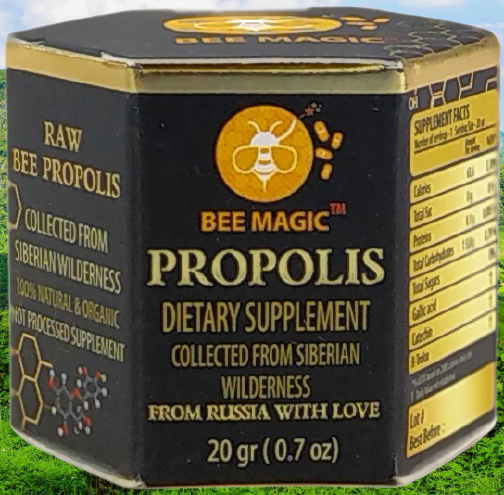 Raw Bee Propolis Resin, Foraged from Siberian Mountains Pristine ...