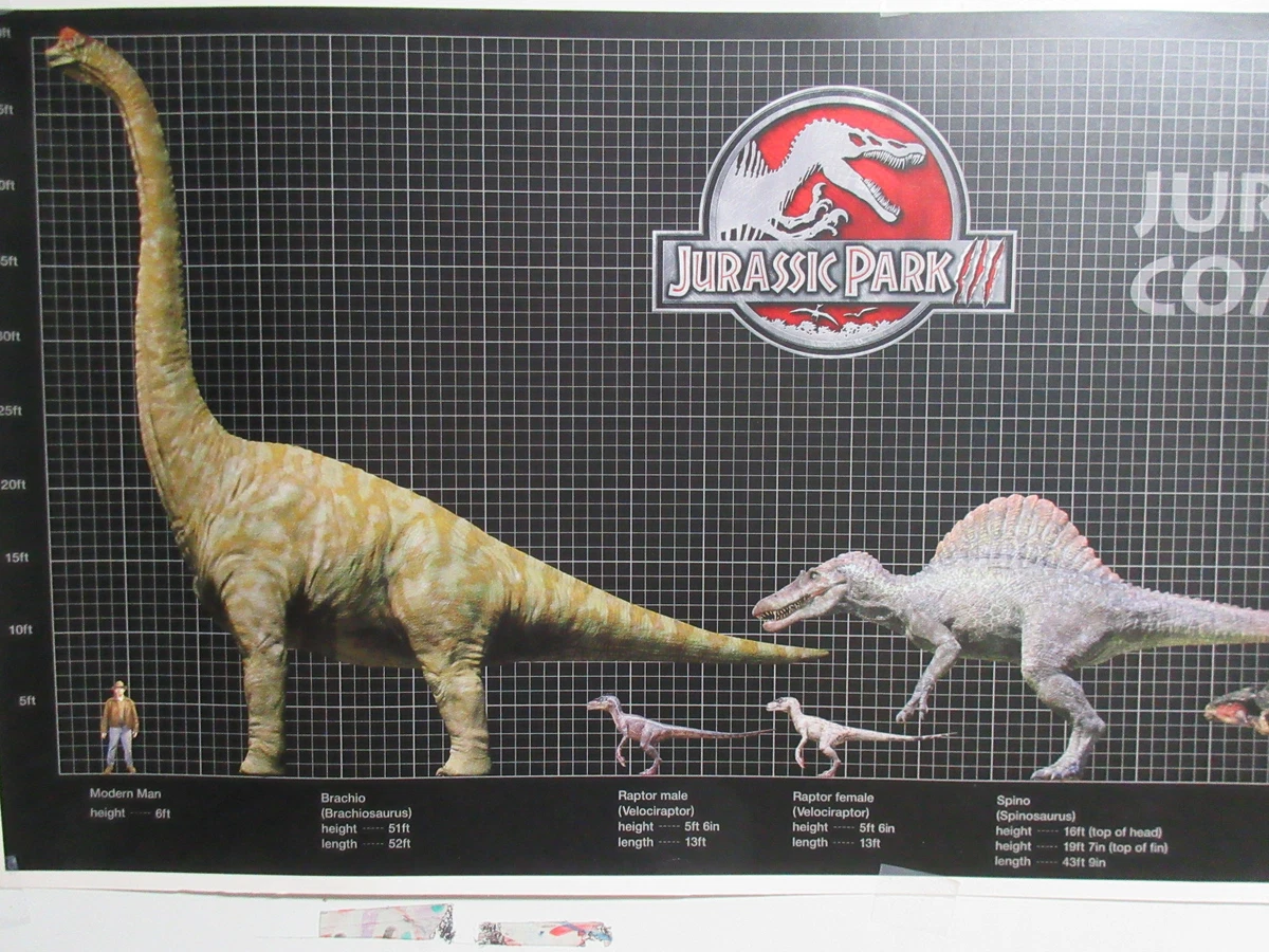 Jurassic Park 3 Comparative Size Chart