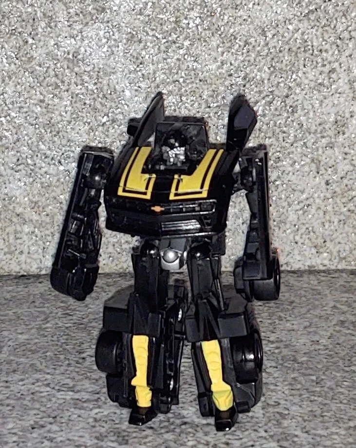 Transformers Animated The Fallen