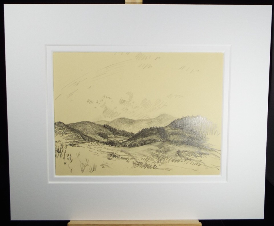 Original Pencil Drawing, 'Hilly Landscape with Trees', Nan C ...