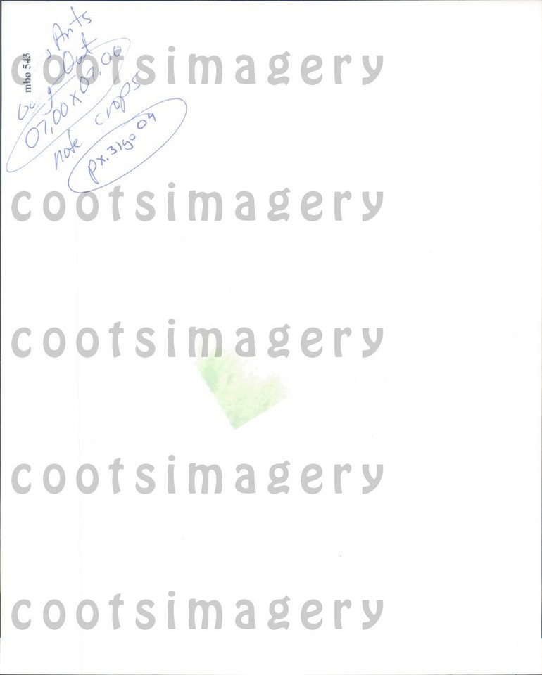 1994 Singer Songwriter Sam Phillips Martinis & Bikinis Press Photo | eBay