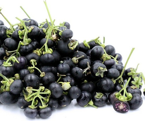 Wonderberry Seeds ~Solanum retroflexum (Burbankii)~ Sunberry~ Garden ...