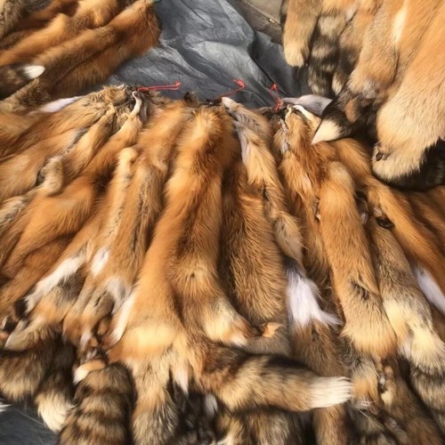 1x Tanned Fox Skin Fur Pelts Soft Dense Real Leather Hides 39-47 inch ...