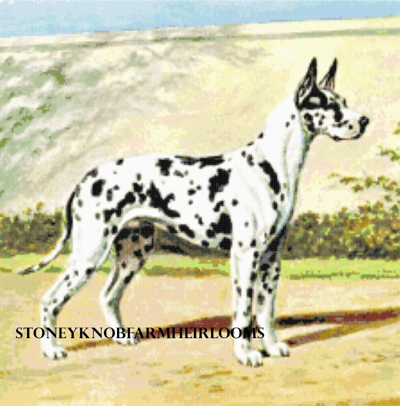 Great Dane Color Chart