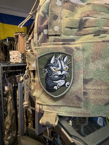 Embroidered Ukraine soldier morale patch evil cat military chevron ...