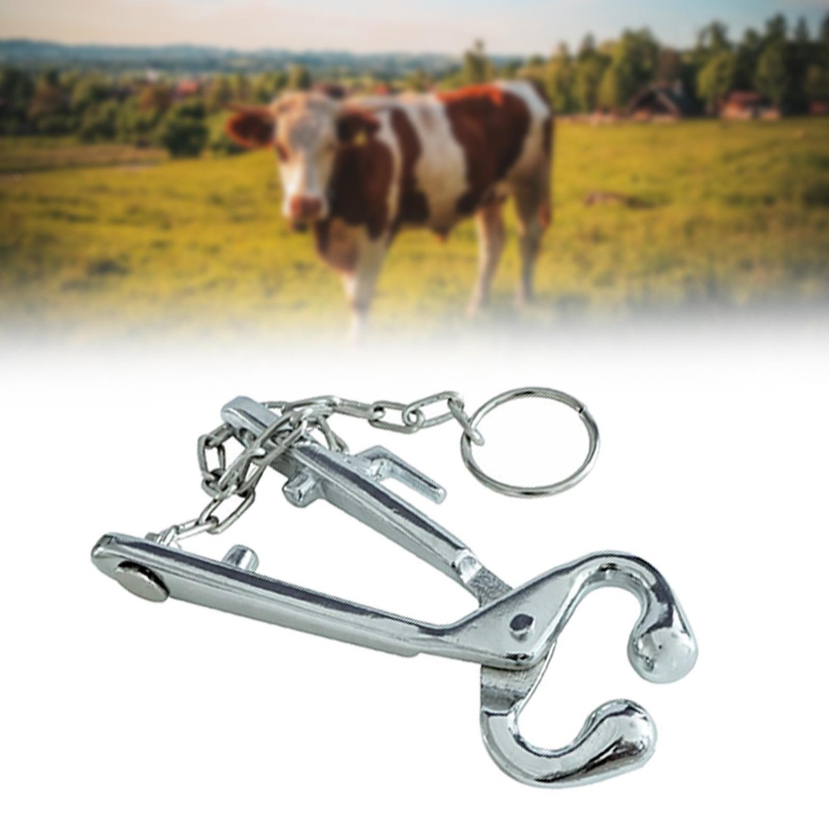 Nose Tongs For Cattle