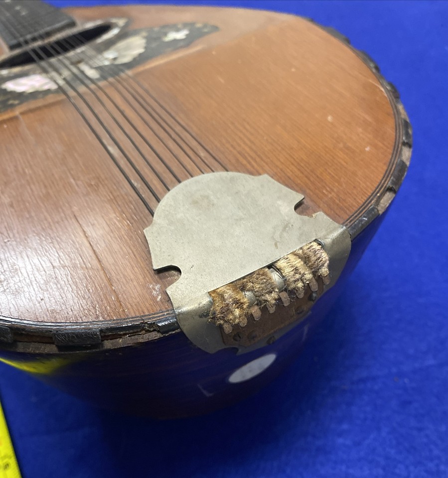 Early Vintage Antique Mandolin. Mother Of Pearl Butterfly. Ships Fast ...